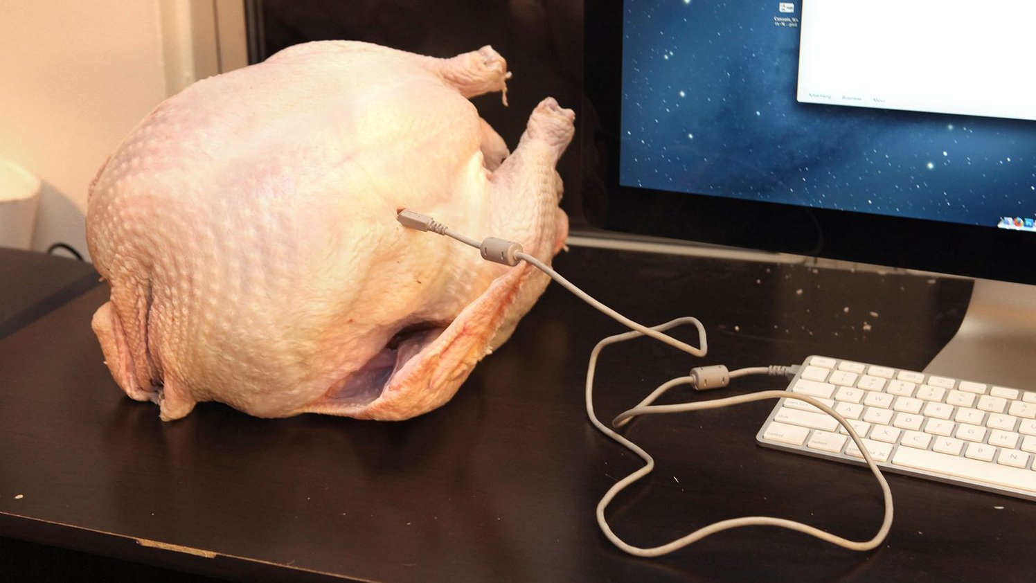 Turkey Day Preparation - An Engineer's Help Manual (humor)